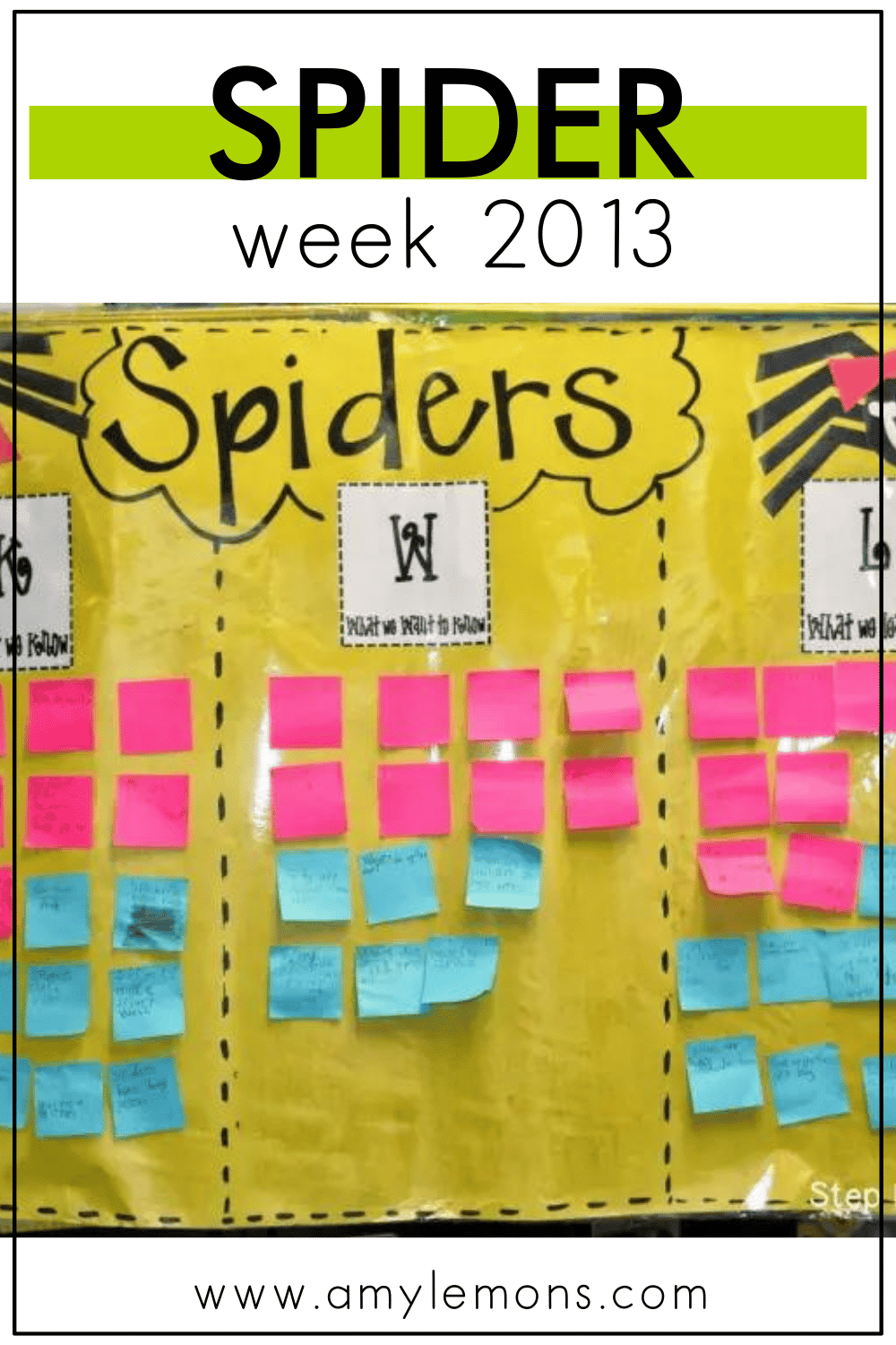 Spider Week 2013 - Amy Lemons
