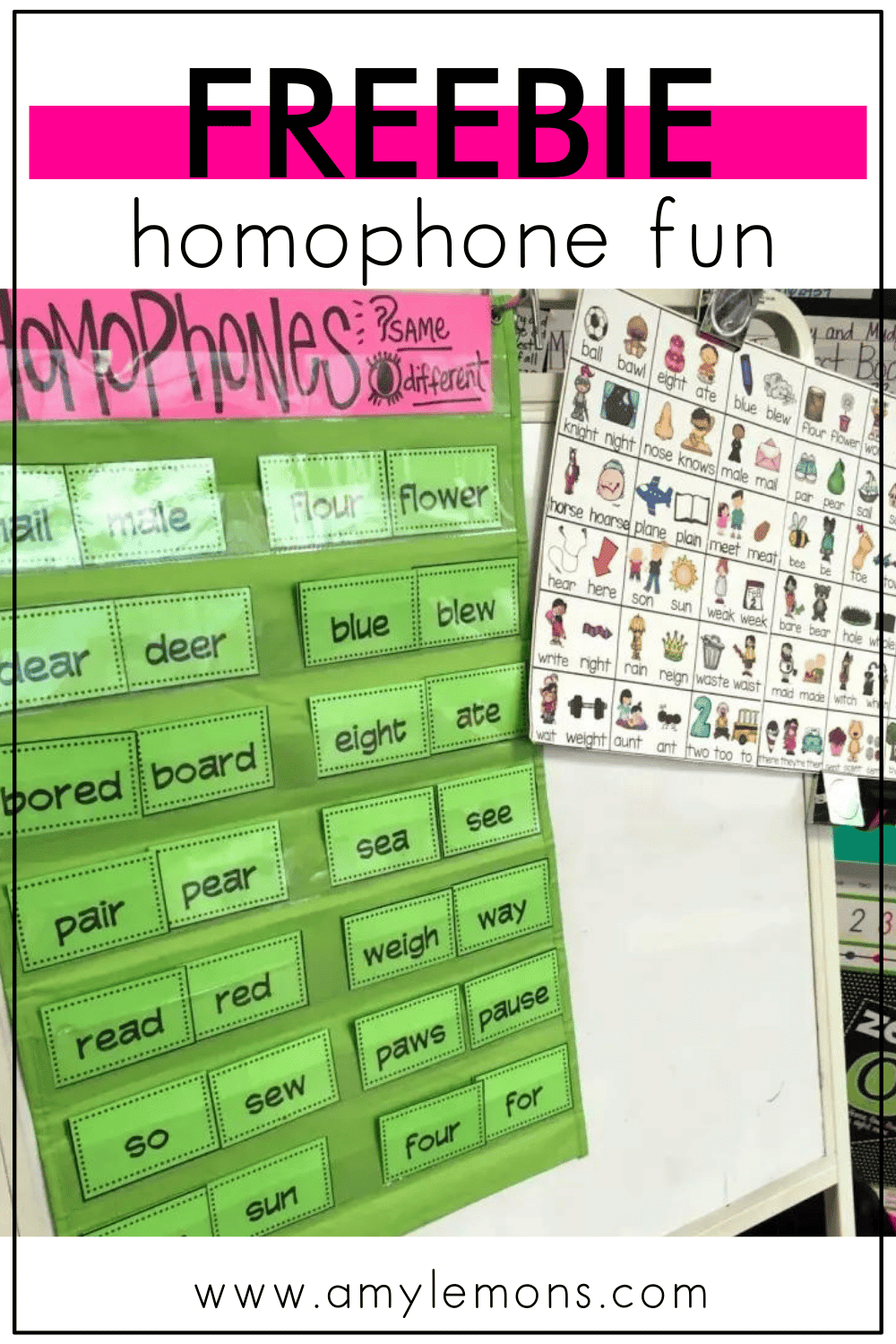 Homophone Fun and a FREEBIE! - Amy Lemons