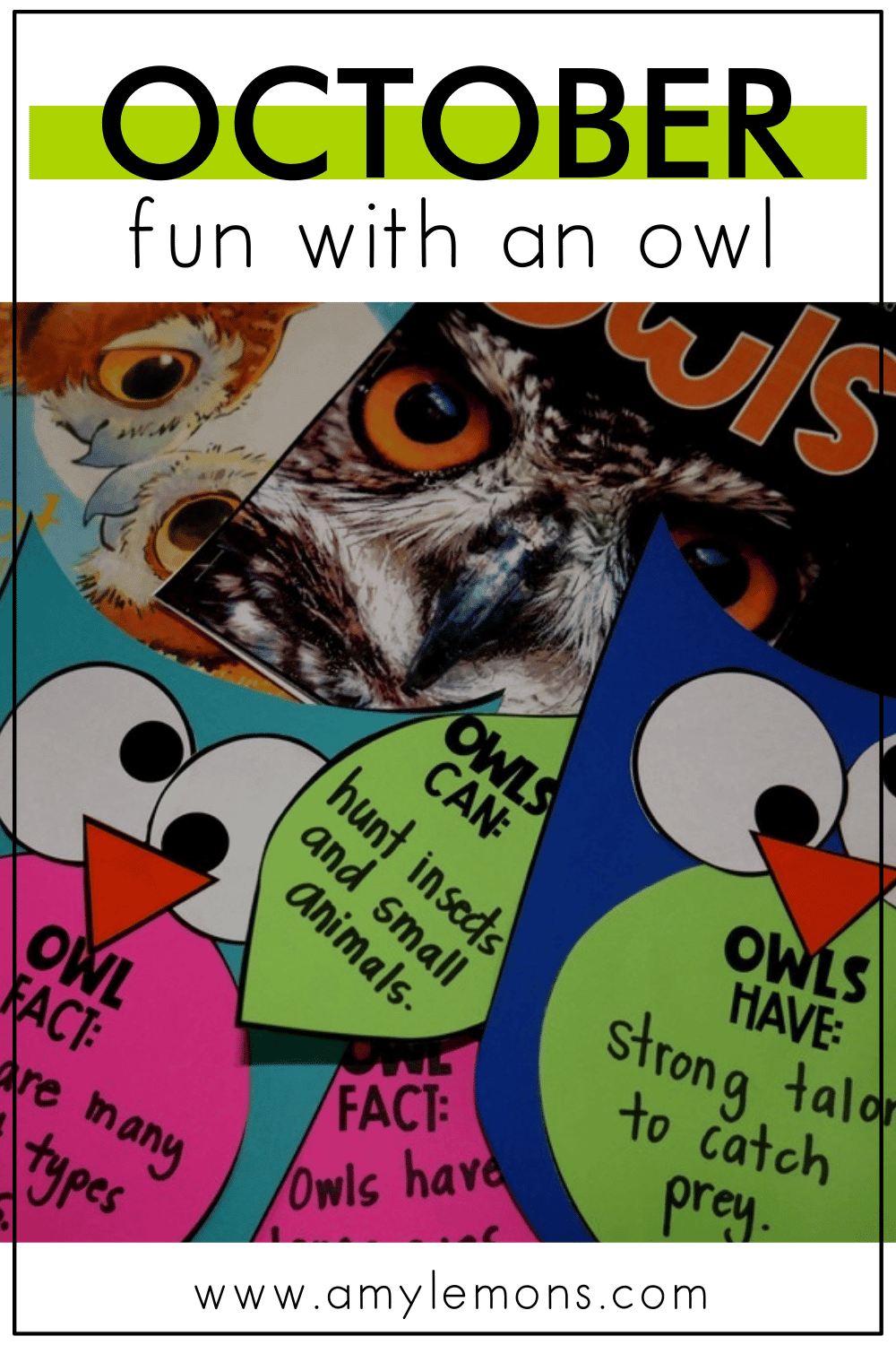 October Fun with an Owl FREEBIE! - Amy Lemons