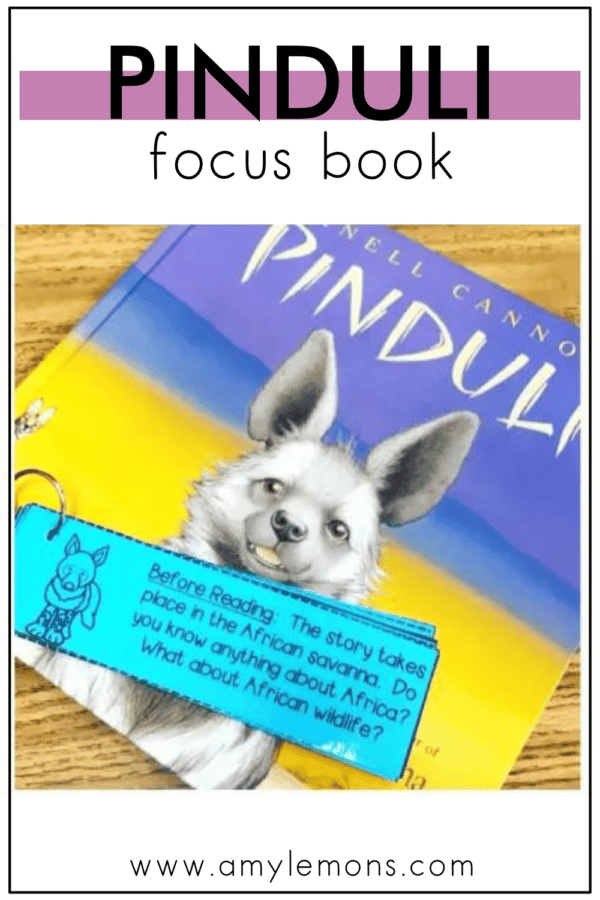 How to Write a Summary with a Picture Book: Pinduli - Amy Lemons