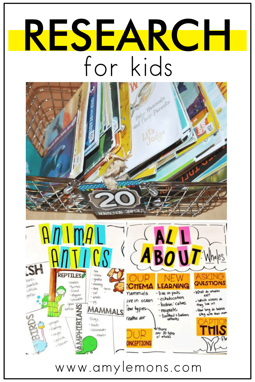 Research for Kids: Animals and Continents! - Amy Lemons