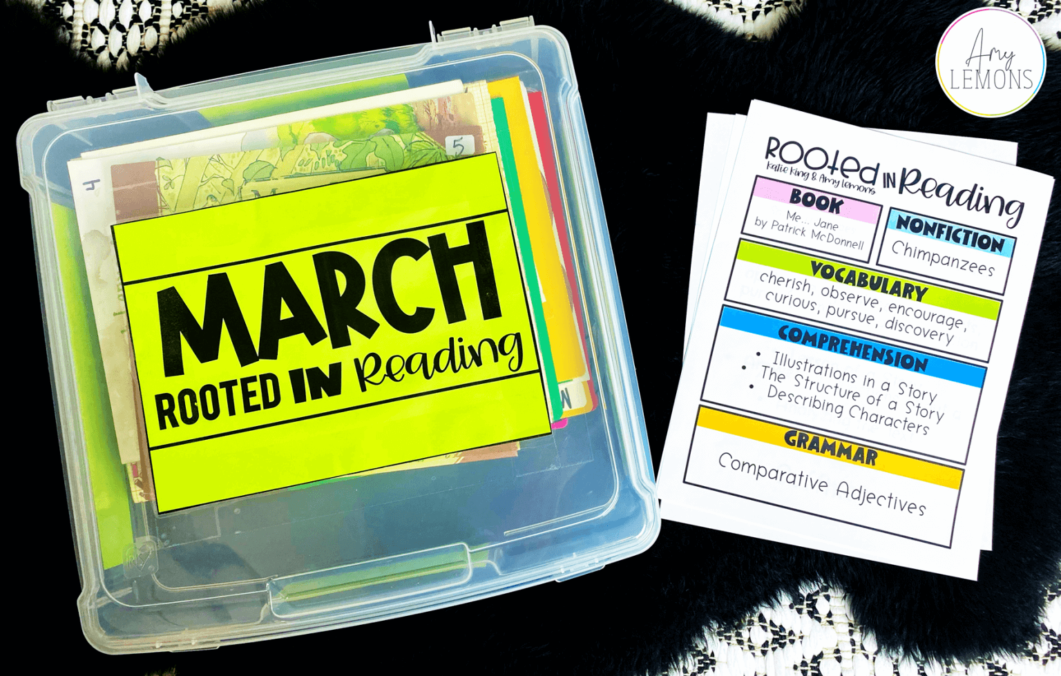 2nd Grade Reading Outlines - Amy Lemons