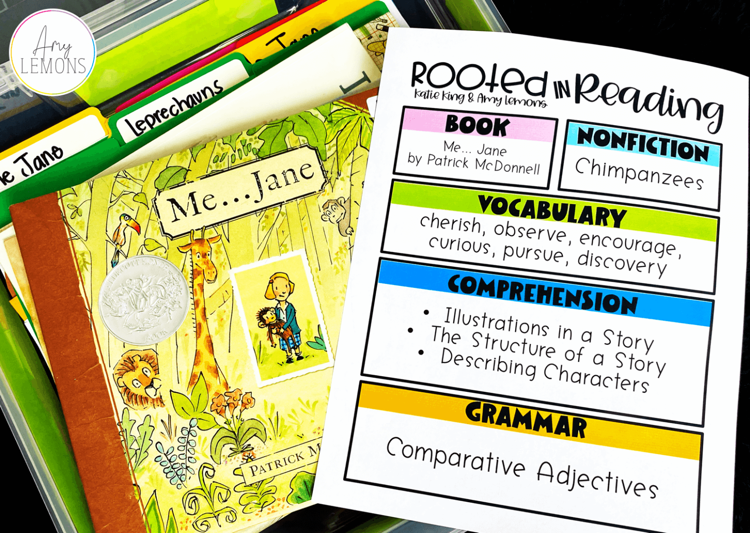 2nd Grade Reading Outlines - Amy Lemons