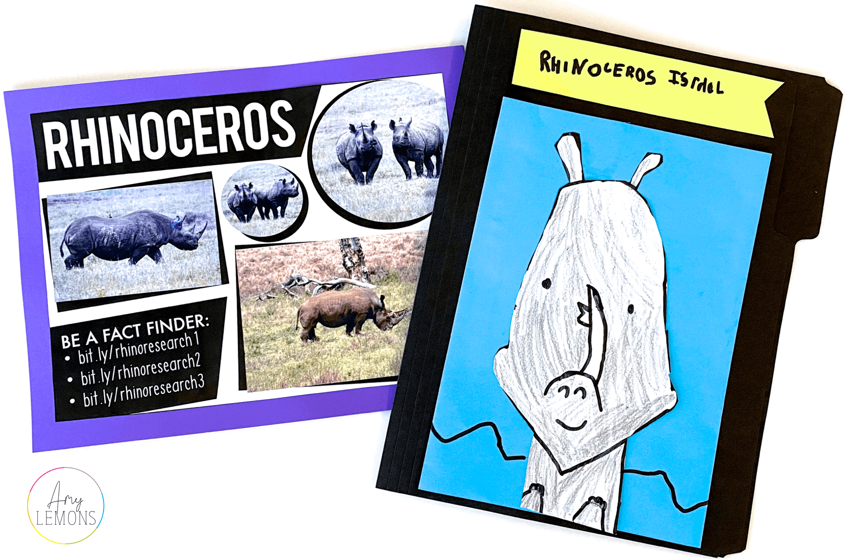 animal-research-draw-a-rhino - Amy Lemons