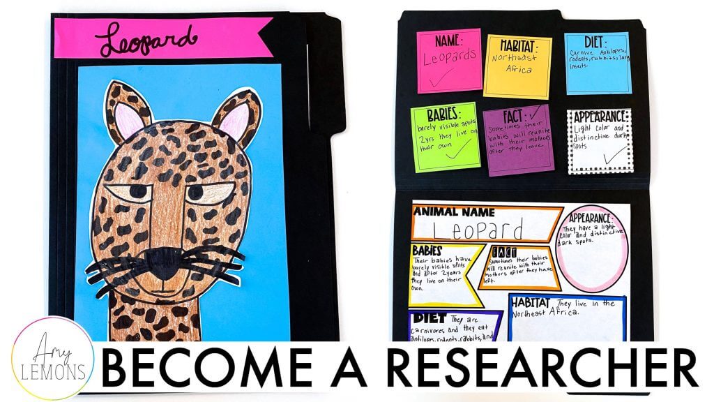 animal-research-for-kids-leopard - Amy Lemons