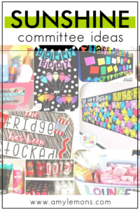 Sunshine Committee Ideas - Amy Lemons