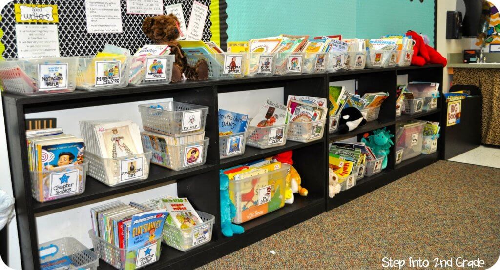 Build a Diverse Classroom Library Part One - Amy Lemons