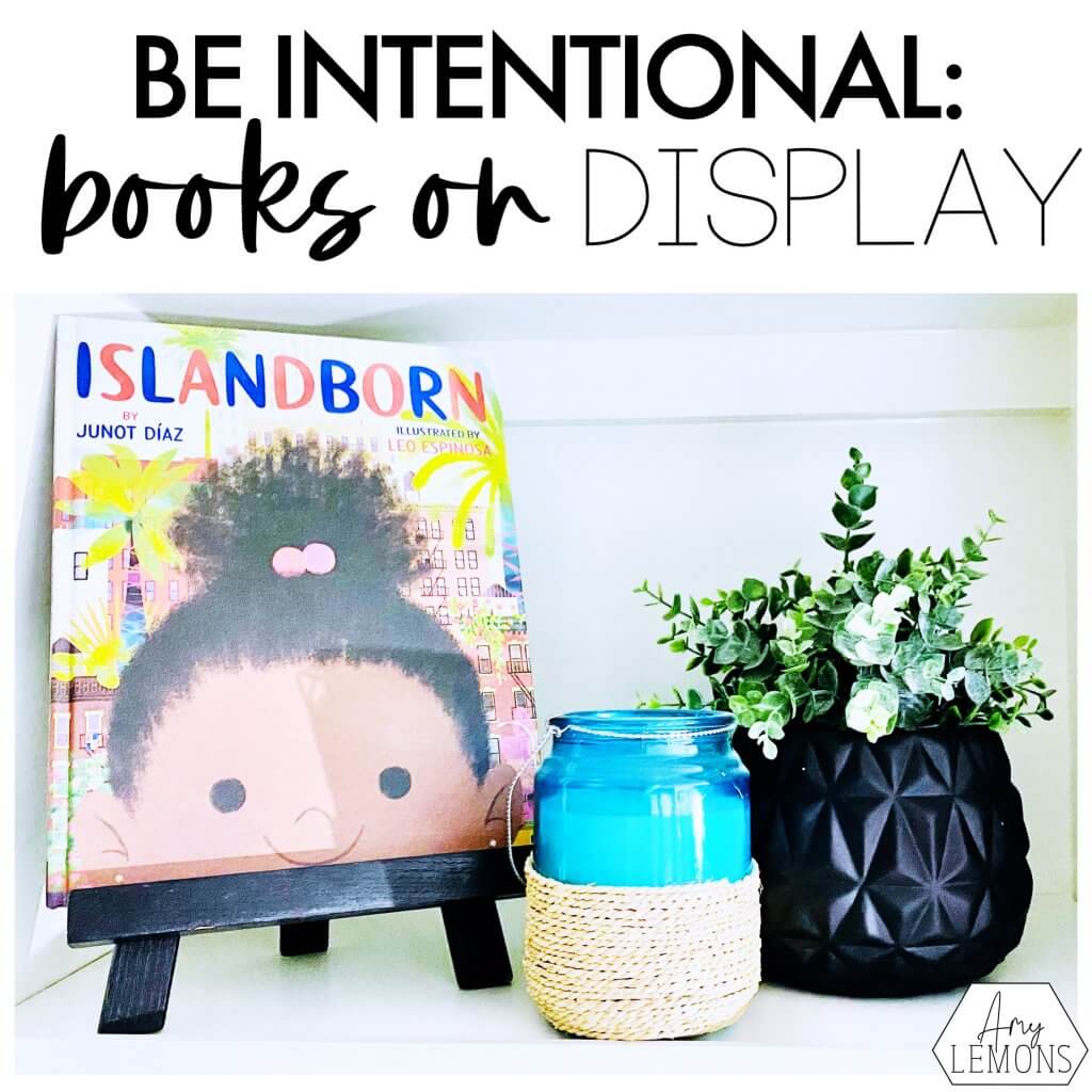 Build a Diverse Library Part Three - Amy Lemons