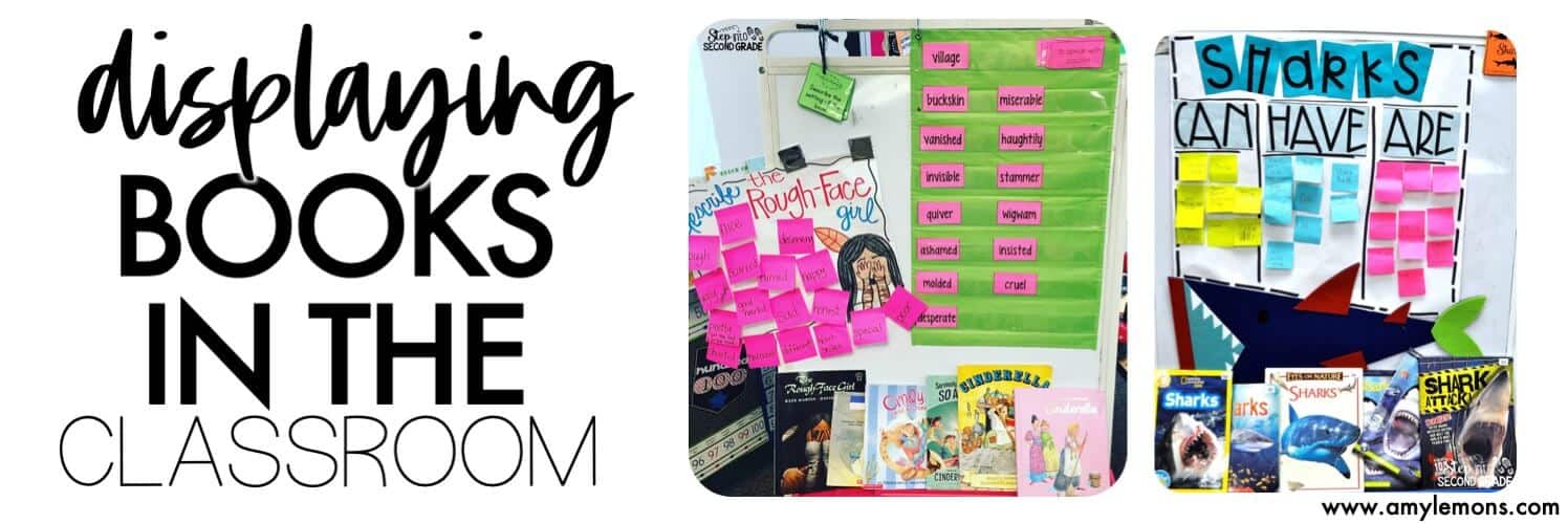 Build a Diverse Library Part Three - Amy Lemons