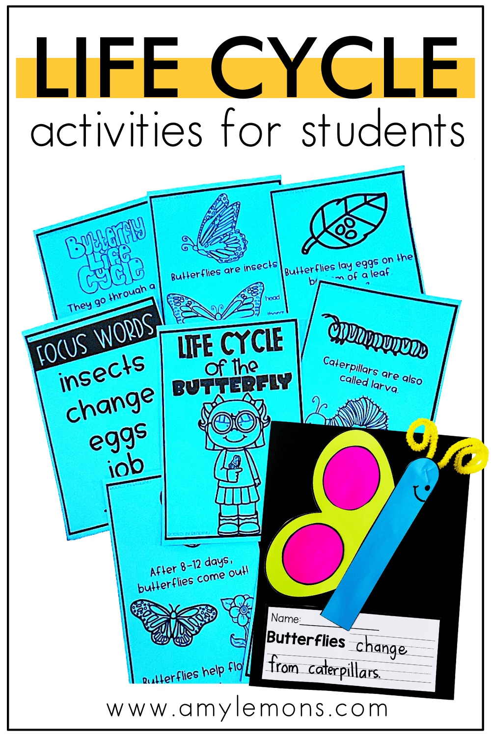 Activities for Teaching About Life Cycles - Amy Lemons