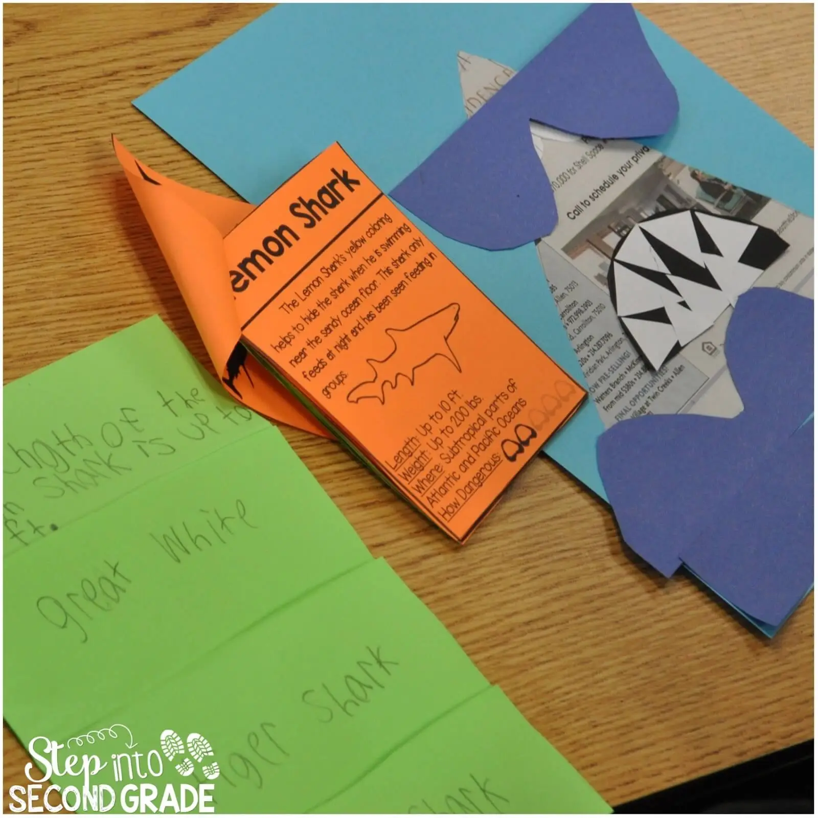 shark-newspaper - Amy Lemons