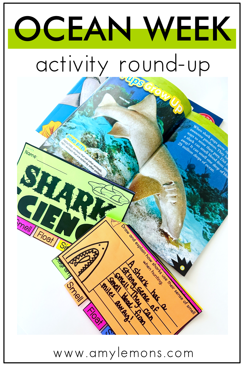 Free Ocean Learning Activities and Picture Book Ideas - Amy Lemons