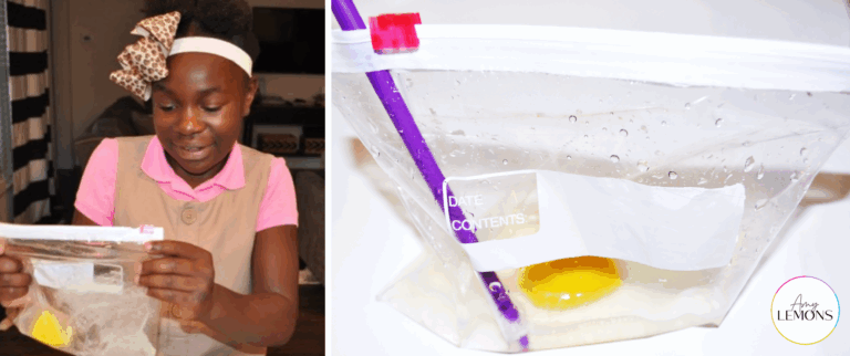 Lemon-Themed Summer Activities for Hands-On Learning at Home or in the ...