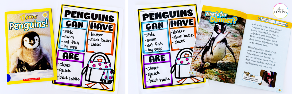 5 Days of Penguin Research with Engaging Penguin Books - Amy Lemons