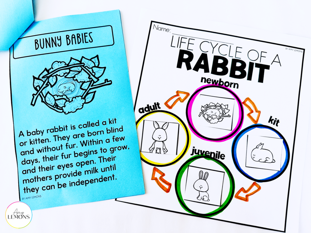 Interactive Read Aloud Lesson for Too Many Carrots: Comprehension and ...